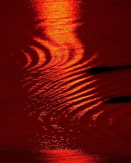 Is period syncing real? – LBDO